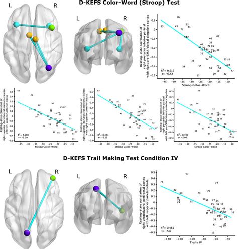 Relationship Of Executive Function To Resting State Brain Connectivity Download Scientific