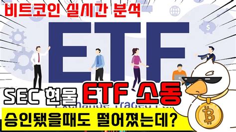 비트코인 실시간 방송 비트코인 현물 Etf 이게 맞아 Youtube