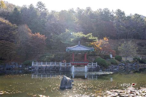 대전 드라이브 코스 가볼만한곳 국립 현충원 둘레길 산책로 가을 단풍 명소 추천 파블로 바코의 여행 정복기