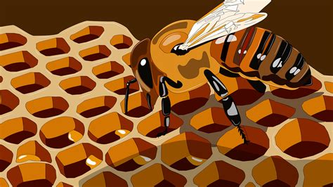 challenging the norm leading django towards hexagonal architecture