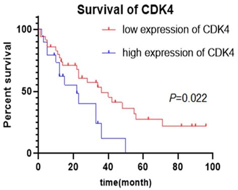 Increased Cdk4 Protein Expression Predicts A Poor Prognosis In Mucosal