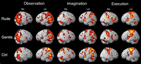 Expressing Our Internal States And Understanding Those Of Others Pnas