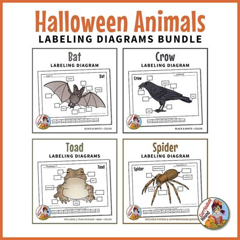 Halloween Animals Labeling Diagrams Bundle Parts Of A Bat Crow Toad