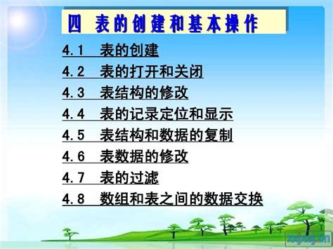 4 visual foxpro程序设计教程 word文档在线阅读与下载 免费文档