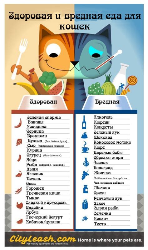 Инфографика о еде для кошек: vik_evpatoria — LiveJournal