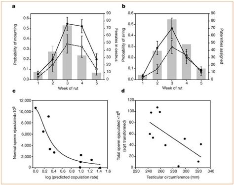 Dominant Rams Lose Out By Sperm Depletion Nature