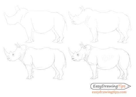 How To Draw Realistic Rhino