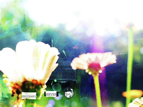 Ordinary Never Be Photograph By Lori Bartel Fine Art America