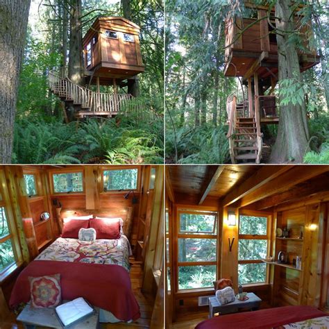 Great Tree Houses For Adults Photos Metatube Cool Tree Houses Adult Tree House Tree House