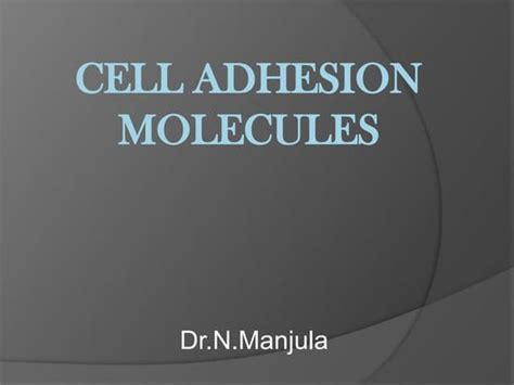 Cell Adhesion Molecules Ppt