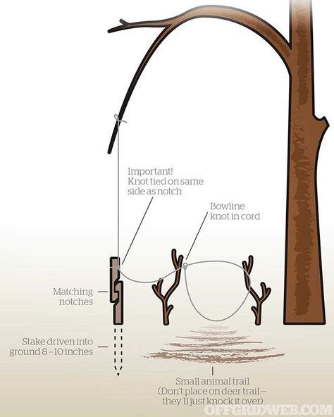 Survival 140 Survival Traps And Triggers Ideas To Save Today Survival Survival 140 Survival Traps And Triggers Ideas To Save Today Survival