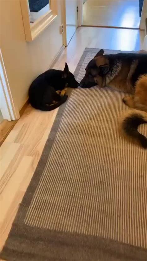 Always Be Touching Scrolller Always Be Touching Scrolller