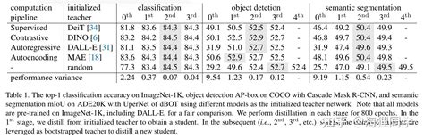 视觉预训练模型dbot 知乎