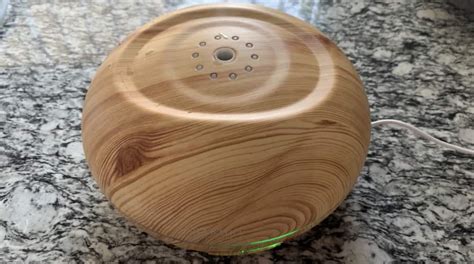 Diffuser Vs Humidifier Which One Should You Go For Air Smartly