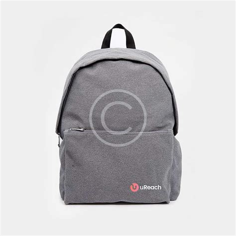 Logo Backpack Alpha Consultant New Zealand