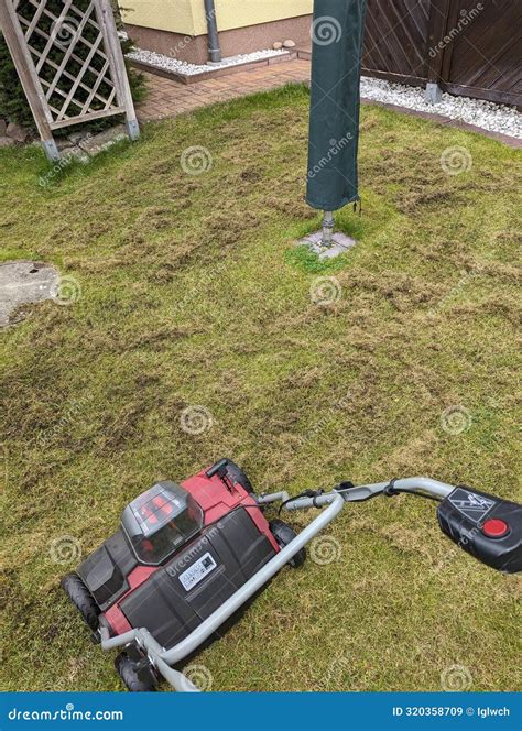 Lawn Scarification For Garden Care Stock Image Image Of Grass