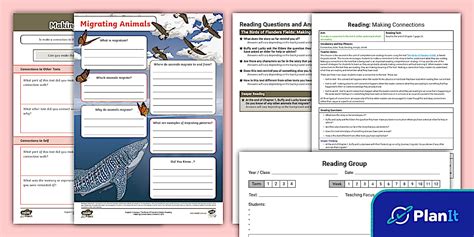 Years 5 6 Reading The Birds Of Flanders Fields Lesson 2