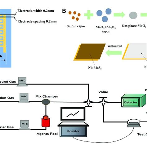 A The Geometry Of The Electrodes Of The Sensor B The Process Of
