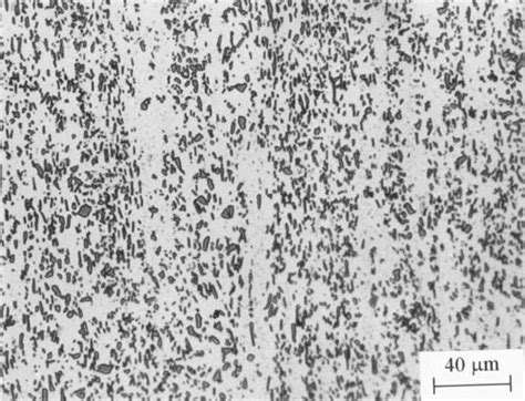 Microstructures In Longitudinal Section View Of The Ingot Processed