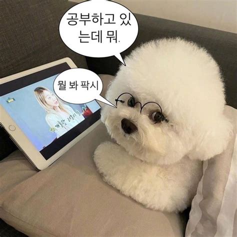 XML과 HTML의 차이