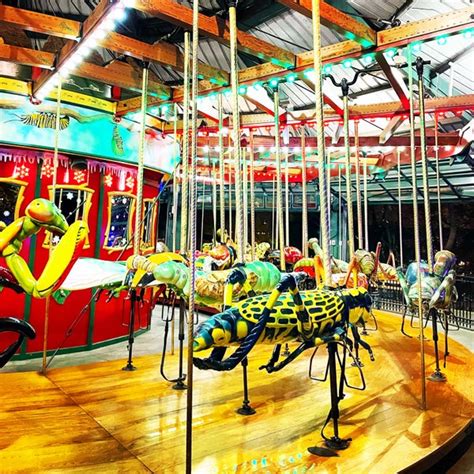 The Bug Carousel My Obt