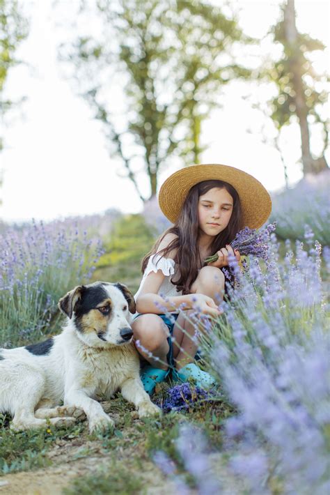 Honden En Kinderen Kynokracht