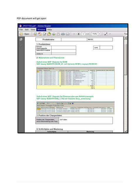Sap Pi Sheet Integration With Dms Document Management System Pdf Operating Systems