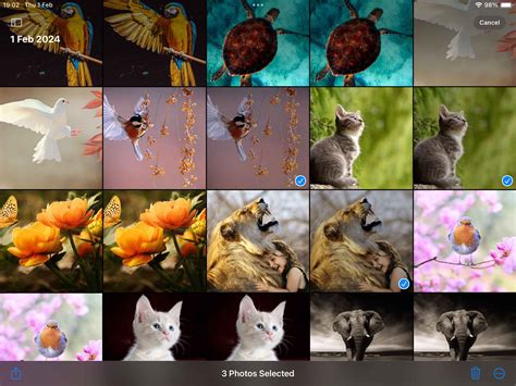 How To Delete Duplicate Photos On Ipad 4 Methods