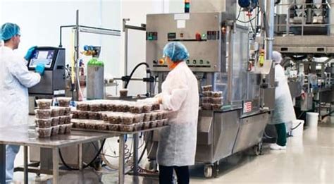 Food Processing Courses Details Syllabus Eligibility Career Coursesxpert