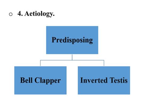 Testicular Torsion 1pdf