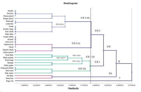 Molecular Dendrogram Depicting The Distribution Of Genotypes Download Scientific Diagram