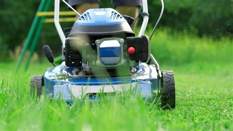 Why is my lawnmower smoking? Four common problems and four easy fixes ...