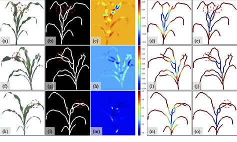 Figure 1 From Leaf Counting In Monocot Plants Using Deep Regression