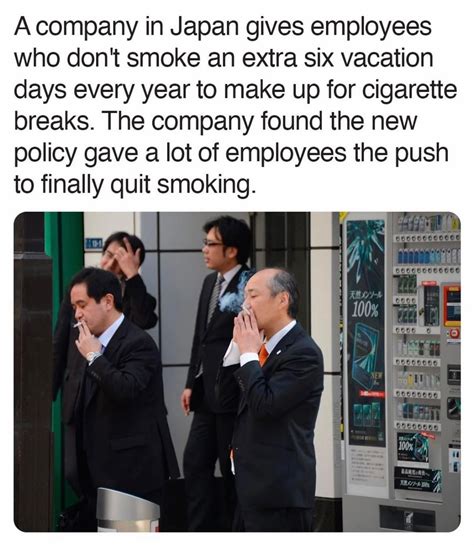 anas lachgar posted on linkedin