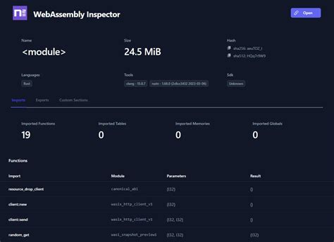 Getting Started With The Wasm Analyzer