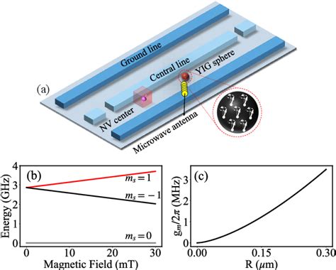 Figure 1 From Strong Tunable Spin Spin Coupling With Cavity Magnon