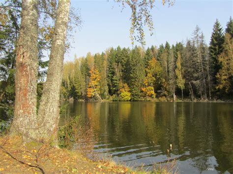 Николай Николаевич Социальная сеть ФотоКто