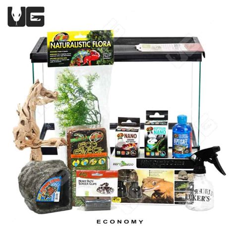 COMPLETE 10 Gallon Tree Frog Setup Underground Reptiles