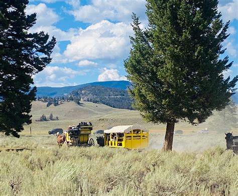 Roosevelt Lodge Cabins Updated 2026 Prices And Campground Reviews