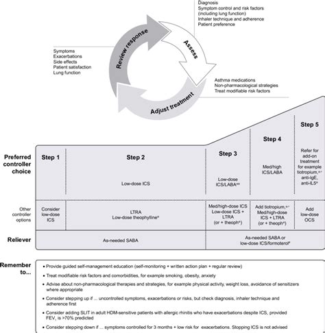 Asthma Management Based On A Continuous Cycle Of Patient Assessment