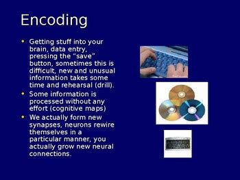 Memory Power Point By AP Psychology Marketplace TpT