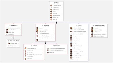 What Is A Team Structure Sloneek®