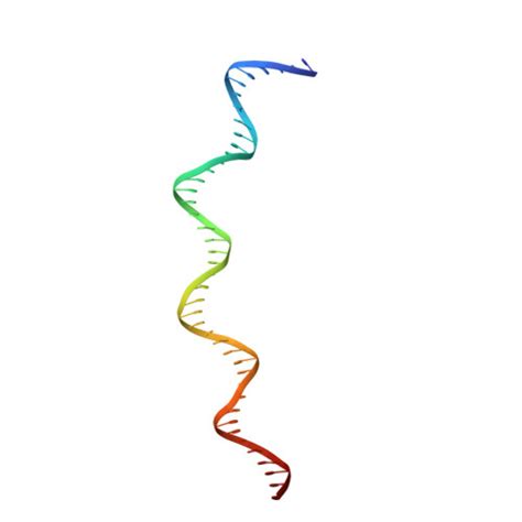 Rcsb Pdb 6wge Cryo Em Structure Of Human Cohesin Nipbl Dna Complex Without Stag1