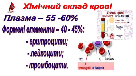 Урок. Внутрішнє середовище організму, Гомеостаз. Значення тканин ...