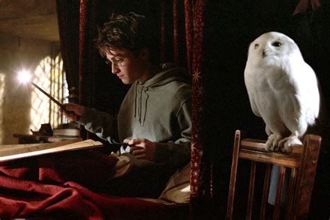 Warner Bros. получила многомиллионный иск из-за палочки Гарри Поттера ...