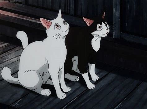 The Cat Returns Neko No Ongaeshi  By Maudit Artofit