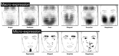Pertinent Motions Elicitating 6 Macro Expressions From Ck Dataset Download Scientific Diagram