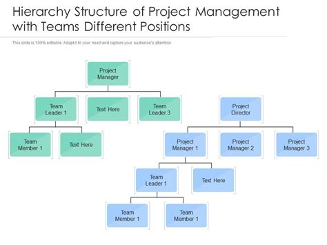 Hierarchy Structure Of Project Management With Teams Different Positions Presentation Graphics