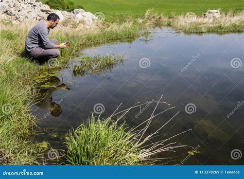 Scientist Measuring Environmental Water Quality In A Wetland Stock