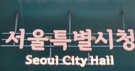 서울시 Ai 기반 지능형 Cctv 신규 설치공공와이파이 확충”